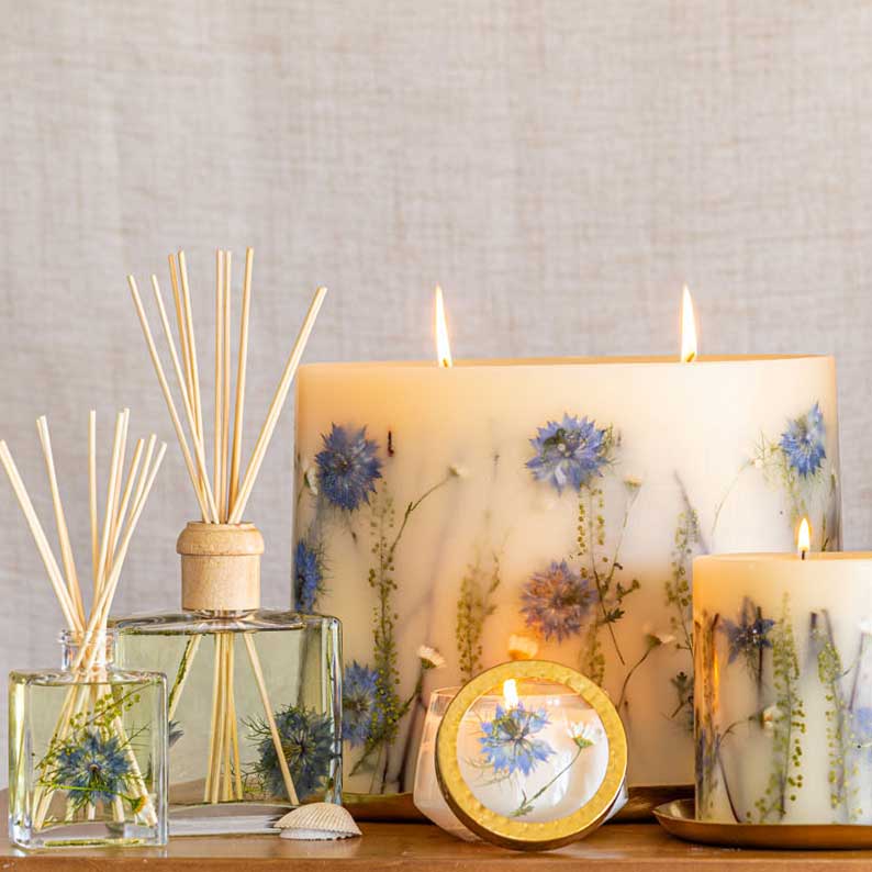 Accent Botanical Reed Diffuser - Sea Salt Mist – Rosy Rings